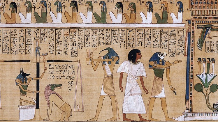 Anthropology in Egypt.. the history of the study of man in the land of ...