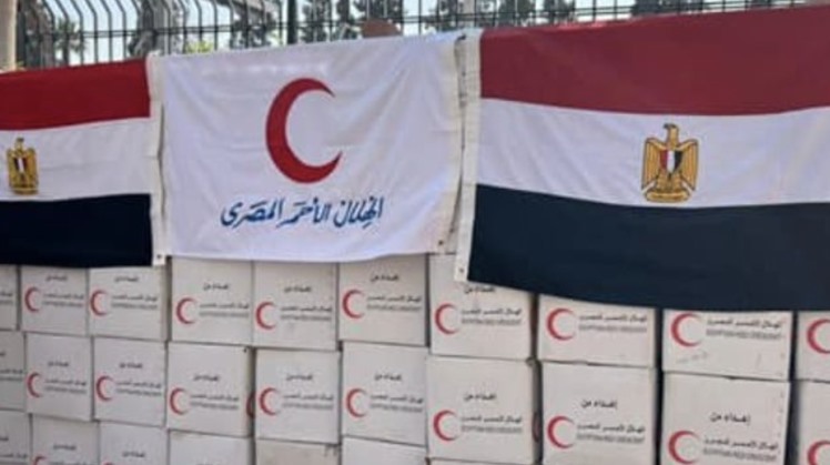 Egypt Sets Up 6 Logistic Zones and 9 Warehouses to Manage International ...